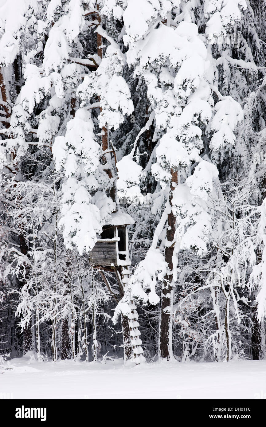 Raised hide in snow covered forest hi-res stock photography and images ...