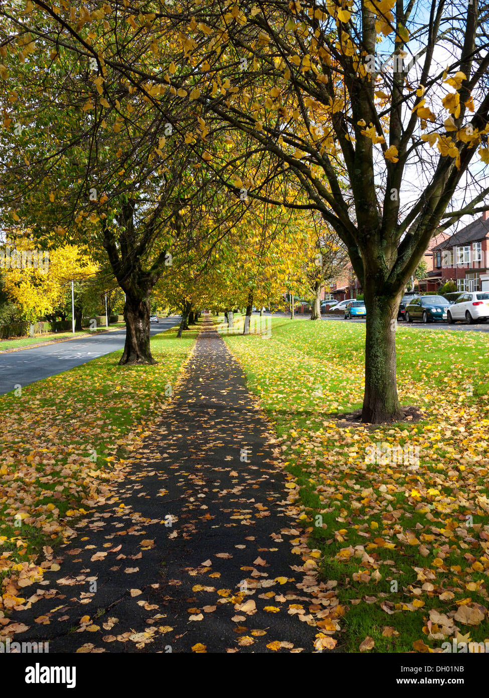 Main footpath hi-res stock photography and images - Alamy