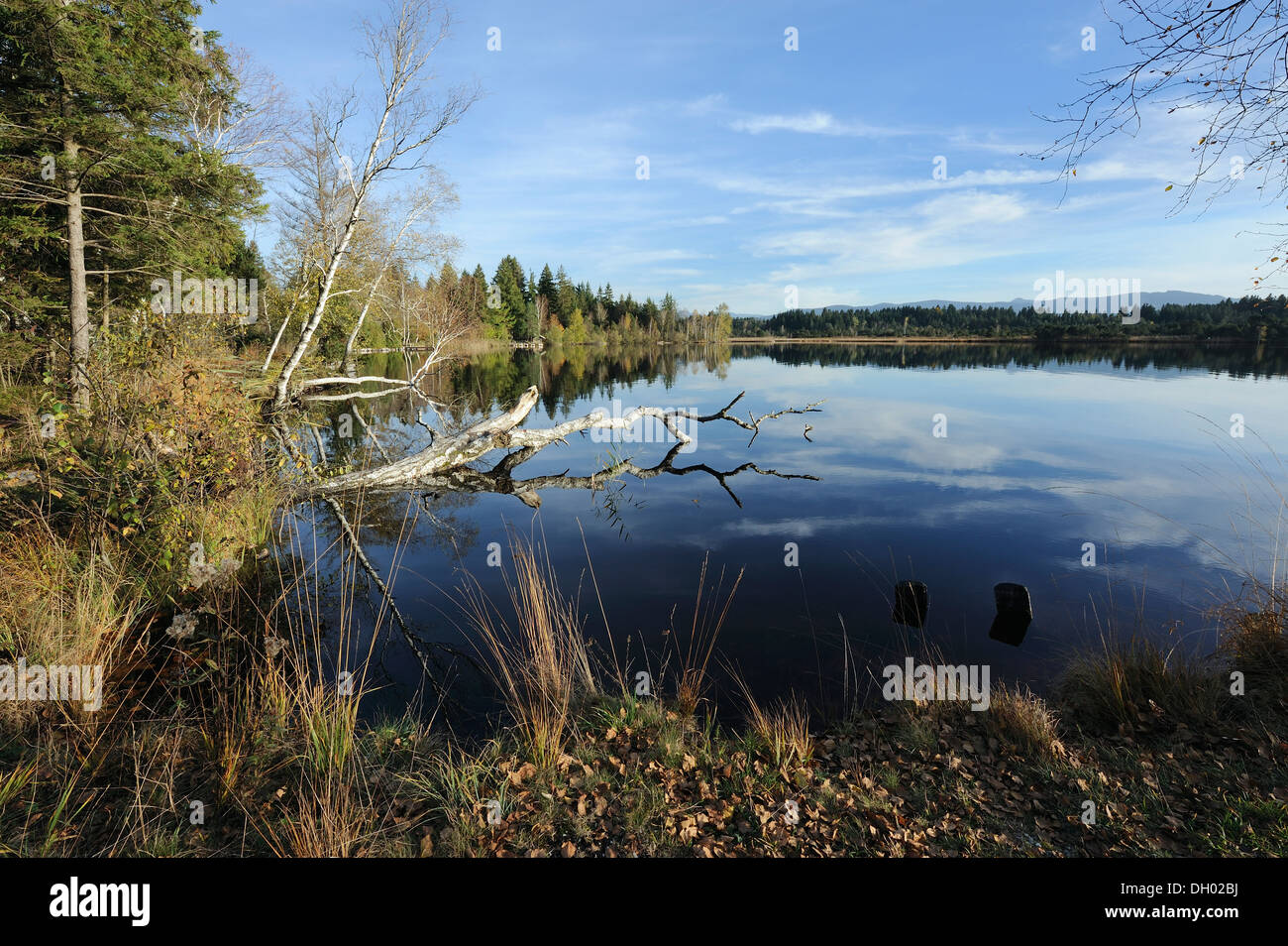 lake Kirchsee in autumn, Bavaria, Germany Stock Photo - Alamy