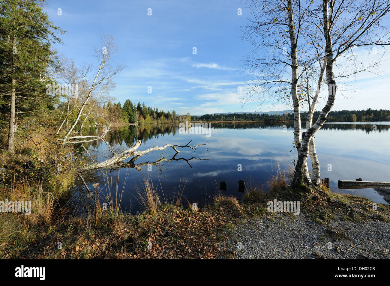 lake Kirchsee in autumn, Bavaria, Germany Stock Photo - Alamy
