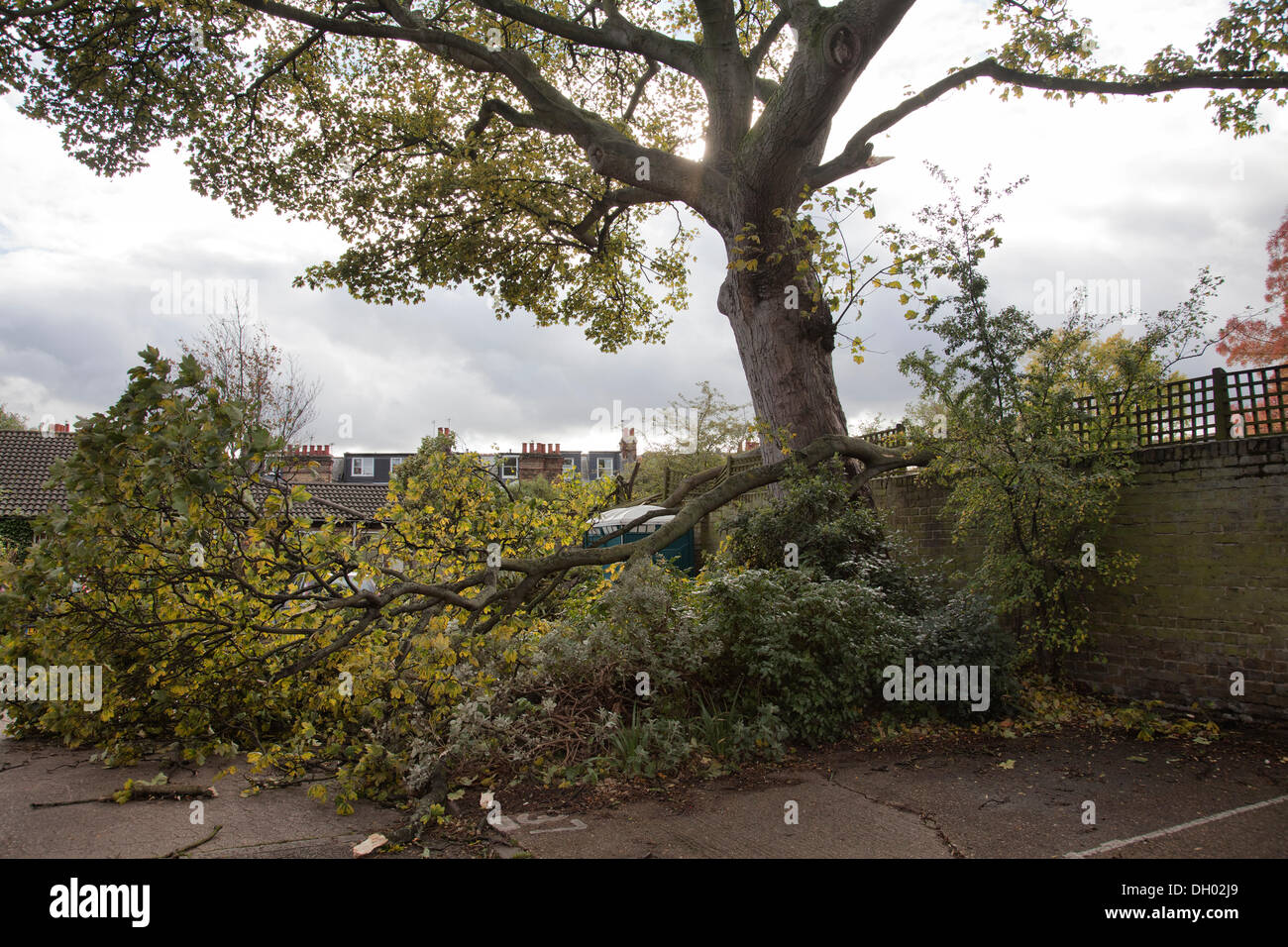 London wind storm hi-res stock photography and images - Alamy