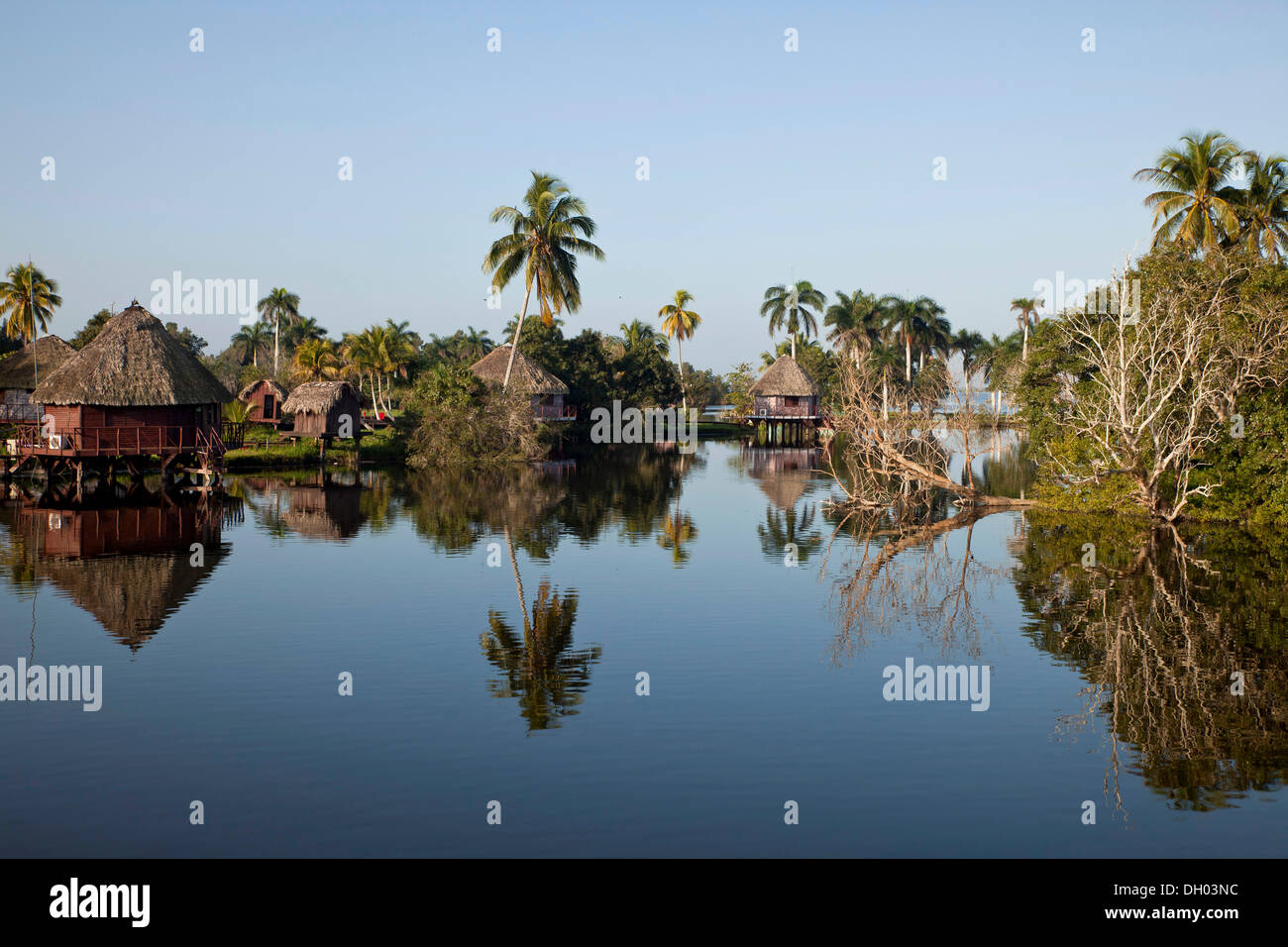 Guama tree hi-res stock photography and images - Alamy