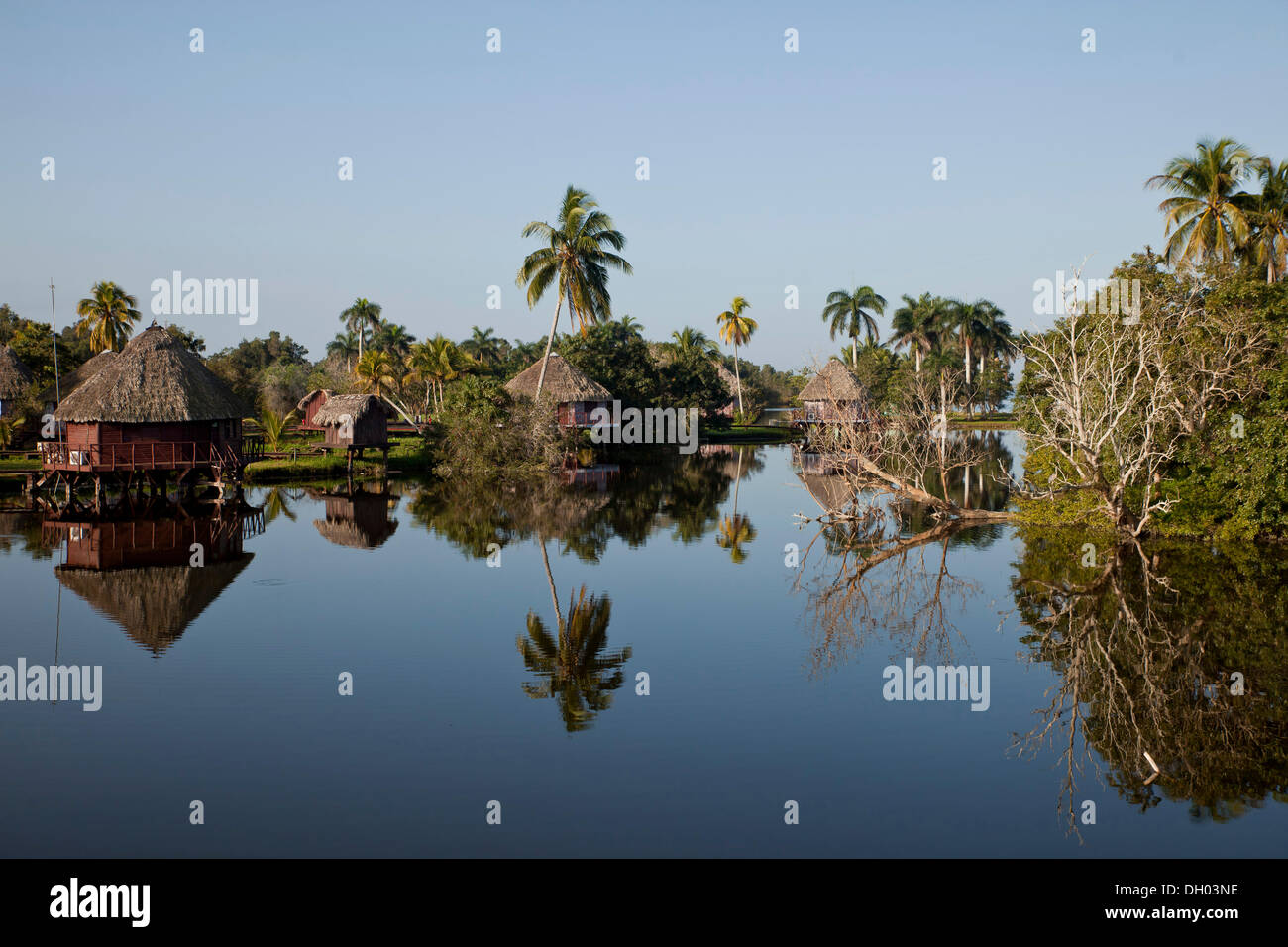 Guama tree hi-res stock photography and images - Alamy