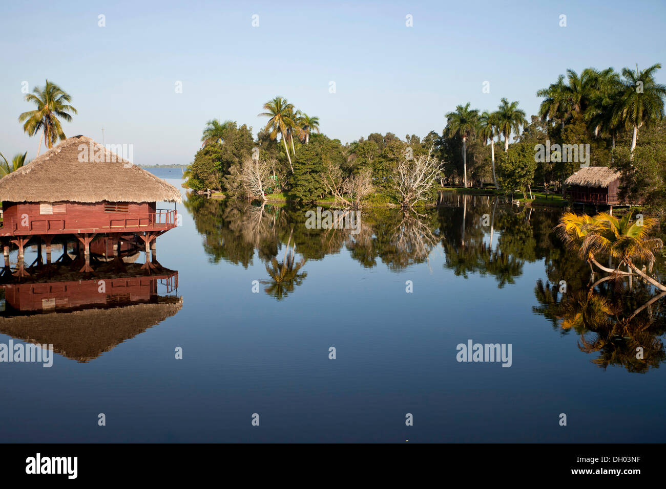 Guama tree hi-res stock photography and images - Alamy