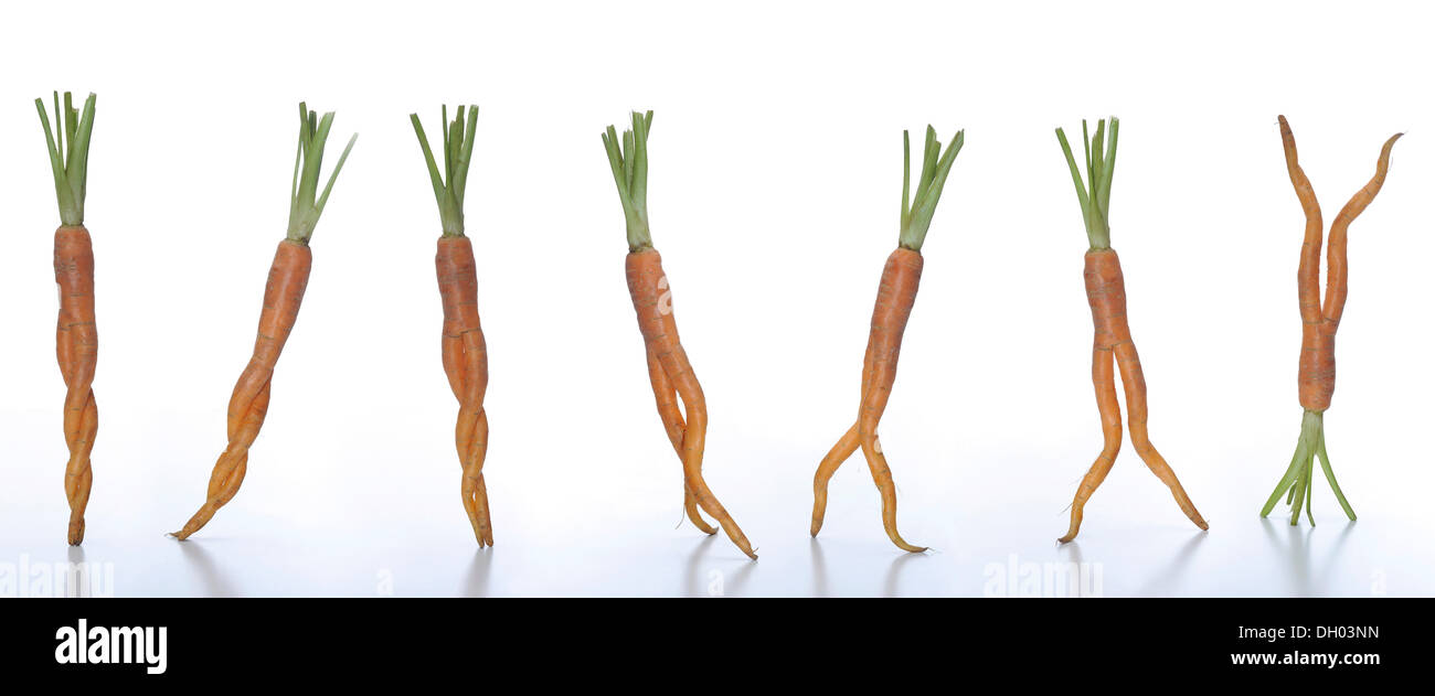 7 dancing carrots, Germany Stock Photo - Alamy