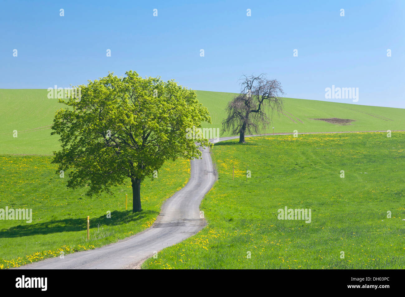 Hills with meadows and trees hi-res stock photography and images - Alamy