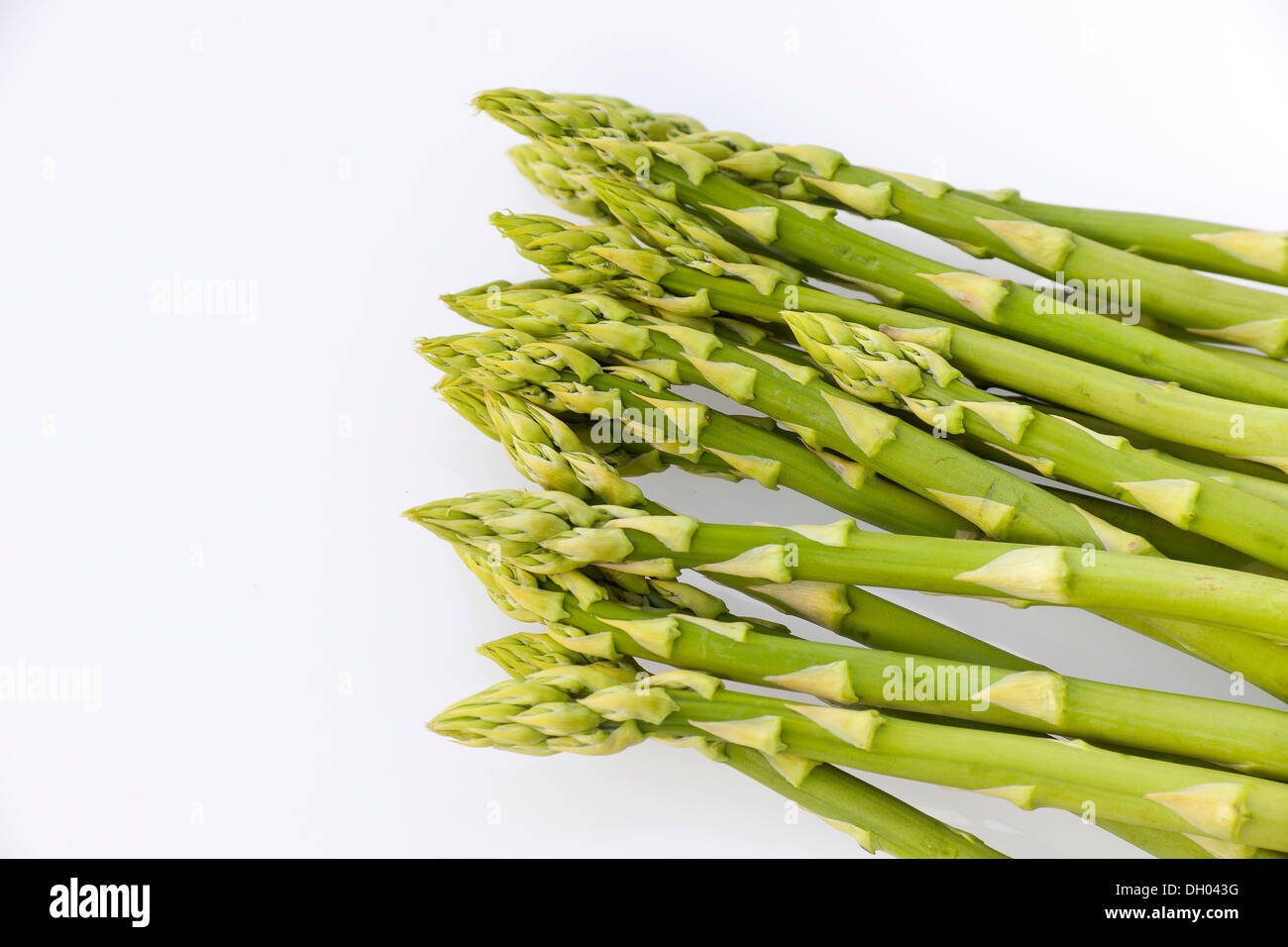 Green Asparagus (Asparagus officinalis Stock Photo - Alamy