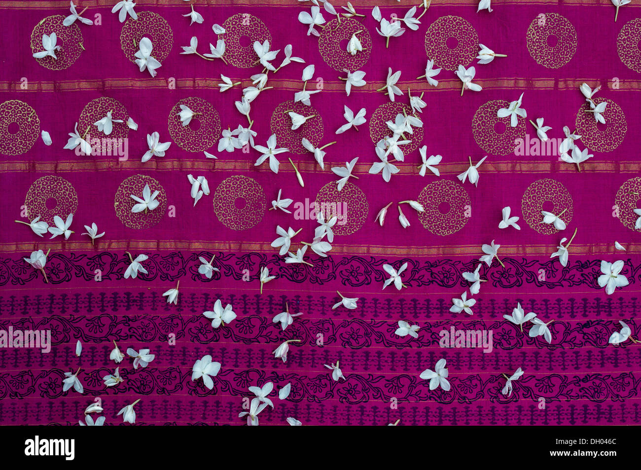 Sari hi-res stock photography and images - Alamy