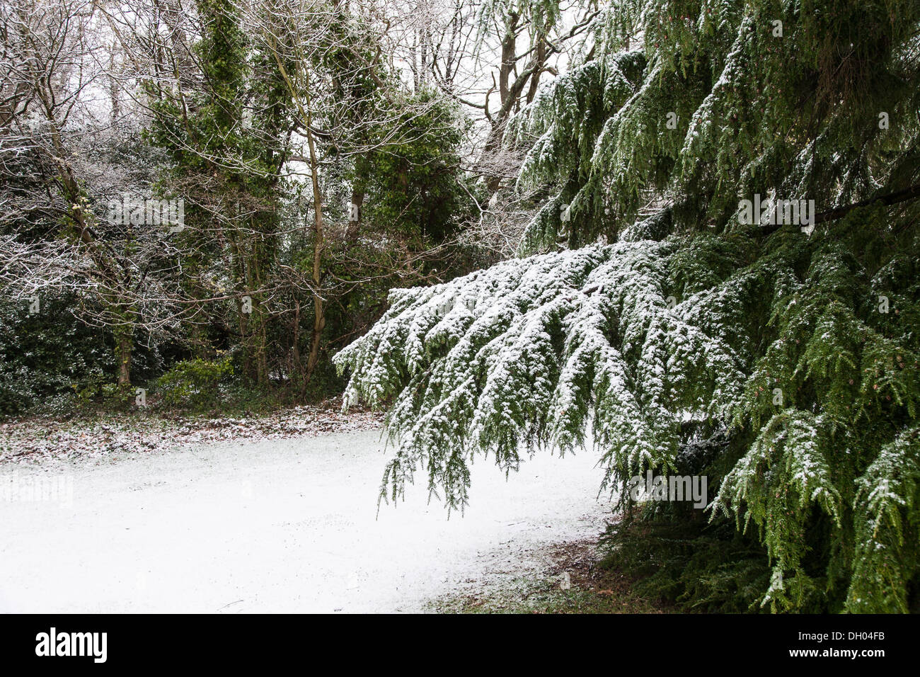Snow on Southampton Common Stock Photo - Alamy