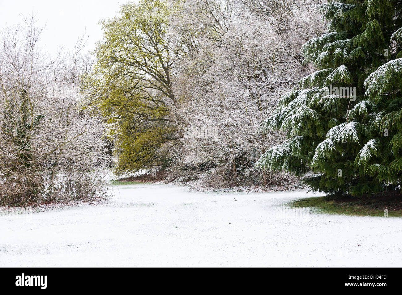 Snow on Southampton Common Stock Photo - Alamy