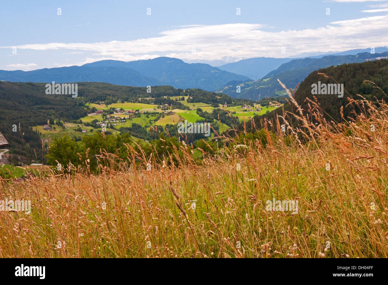 Looking across field of high alpine meadow toward mountains of Northern ...