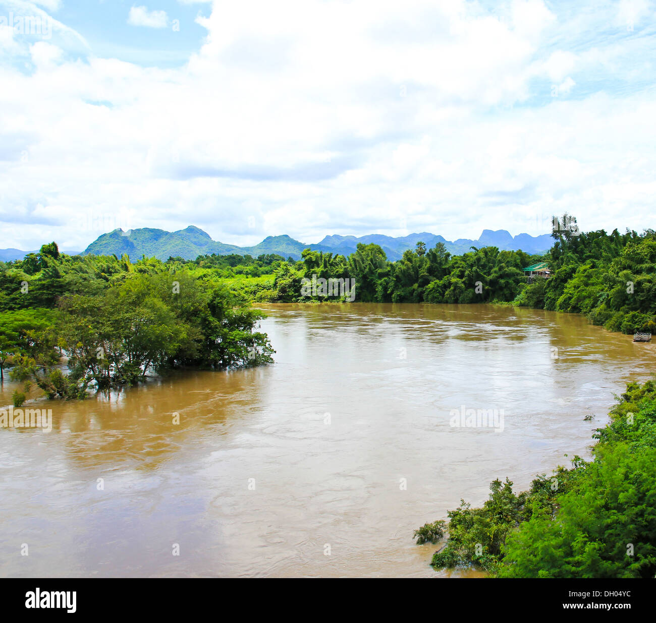 Kwai tree hi-res stock photography and images - Alamy
