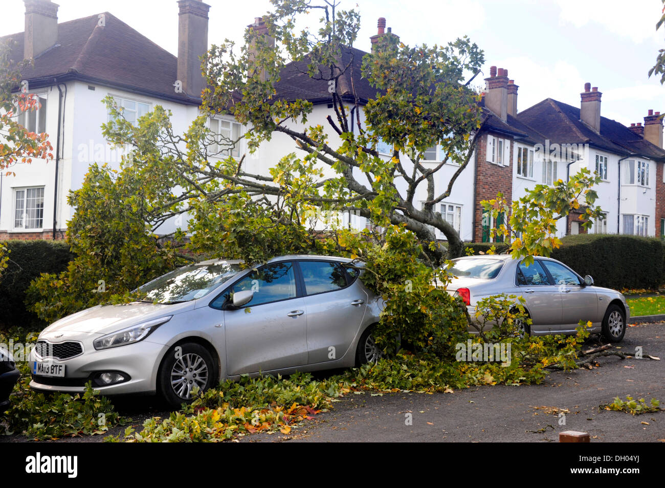 A Suburban Road with two cars severely damaged under a fallen tree ...