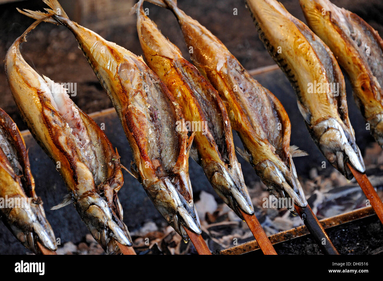Fish on skewers, historical Oktoberfest, Munich, Upper Bavaria, Bavaria ...