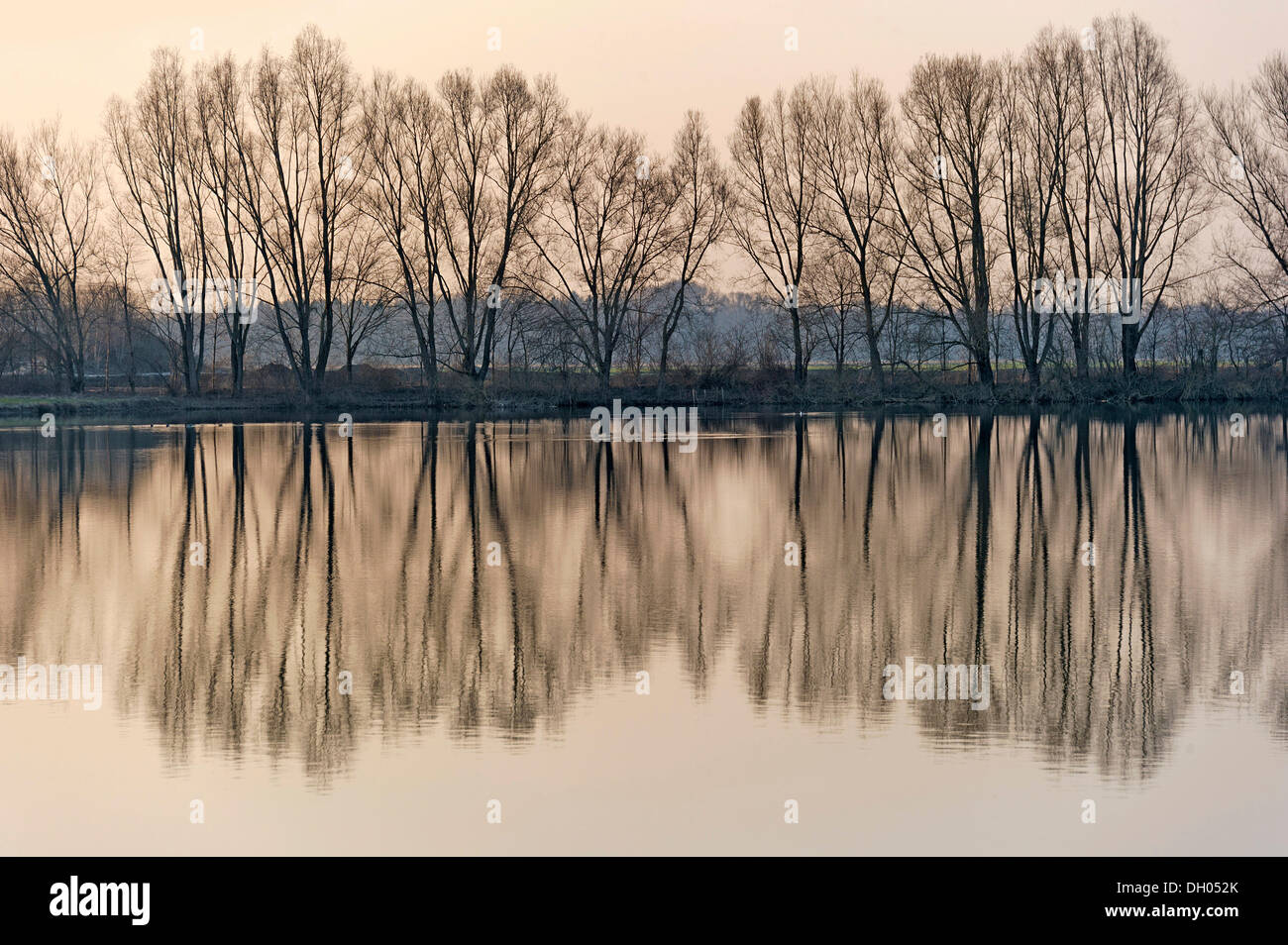 Evening mood at Moorsee Lake near Moosinning, Erdinger Moos, Upper ...