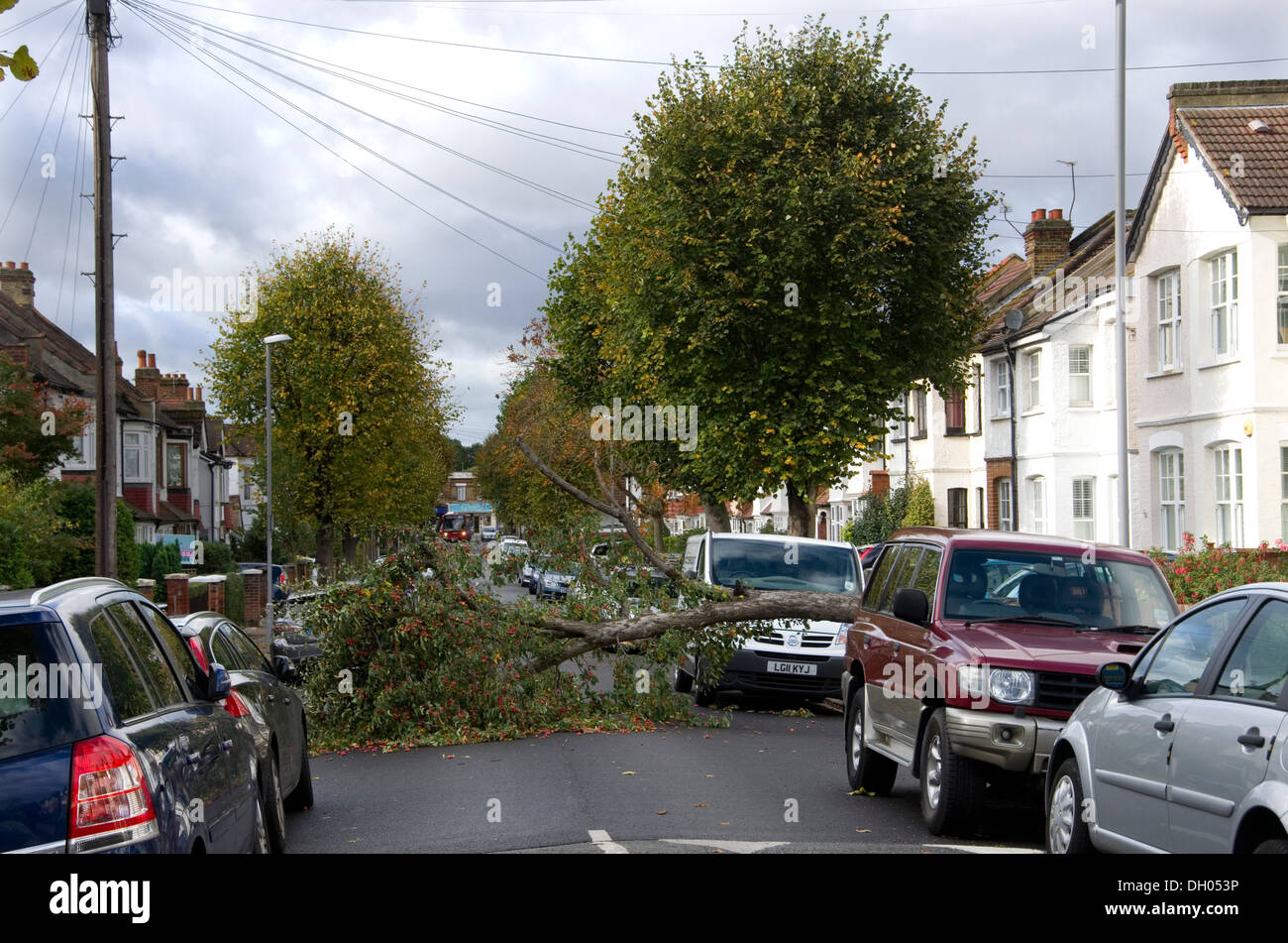 Fallen trees storm london hi-res stock photography and images - Alamy