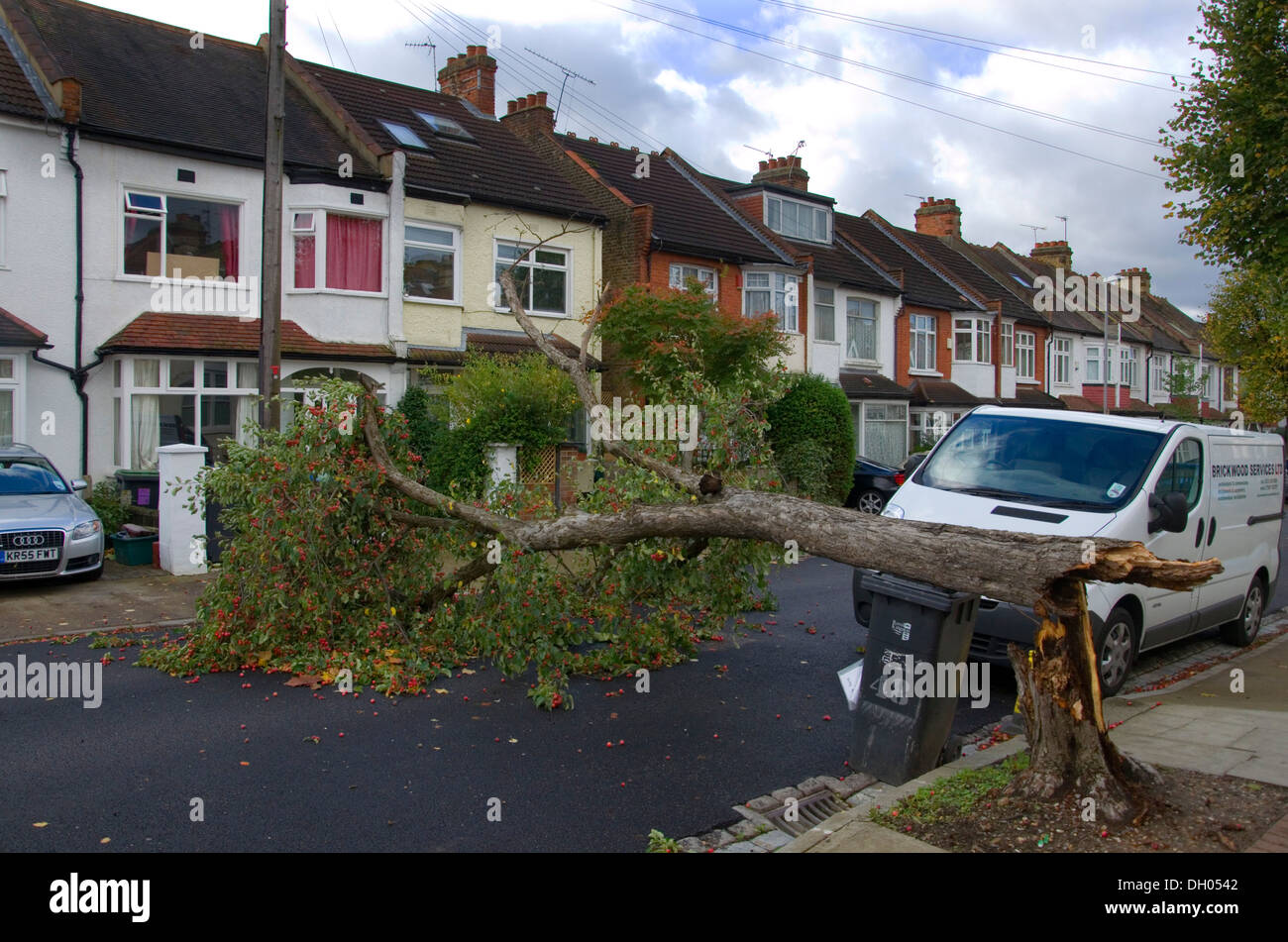 A fallen tree across a road in New Malden, South West London after 'St ...