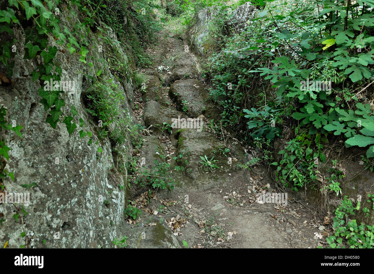 Ancient Etruscan road with ruts carved into tuff, Tagliata delle ...