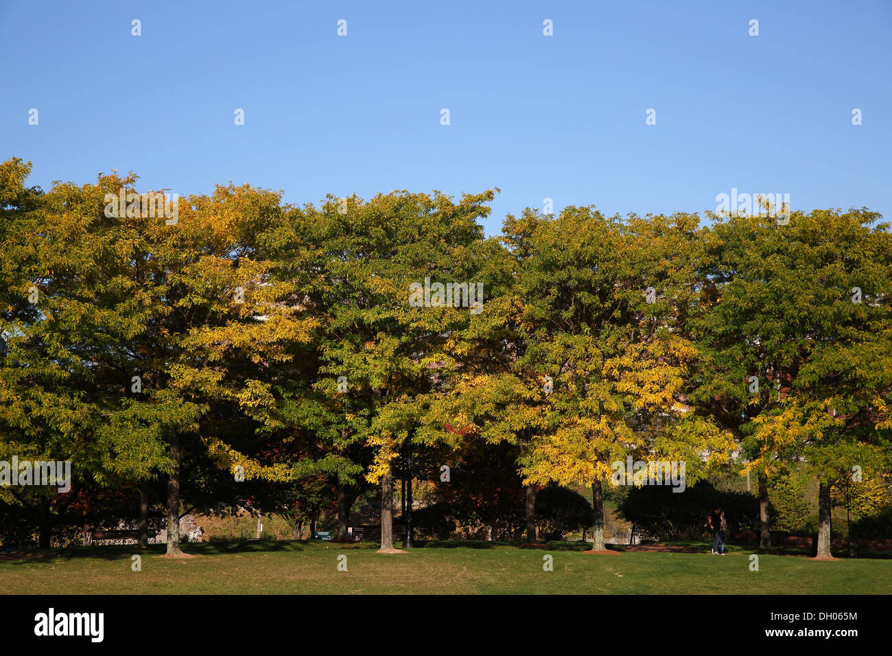 Turning if the trees hi-res stock photography and images - Alamy