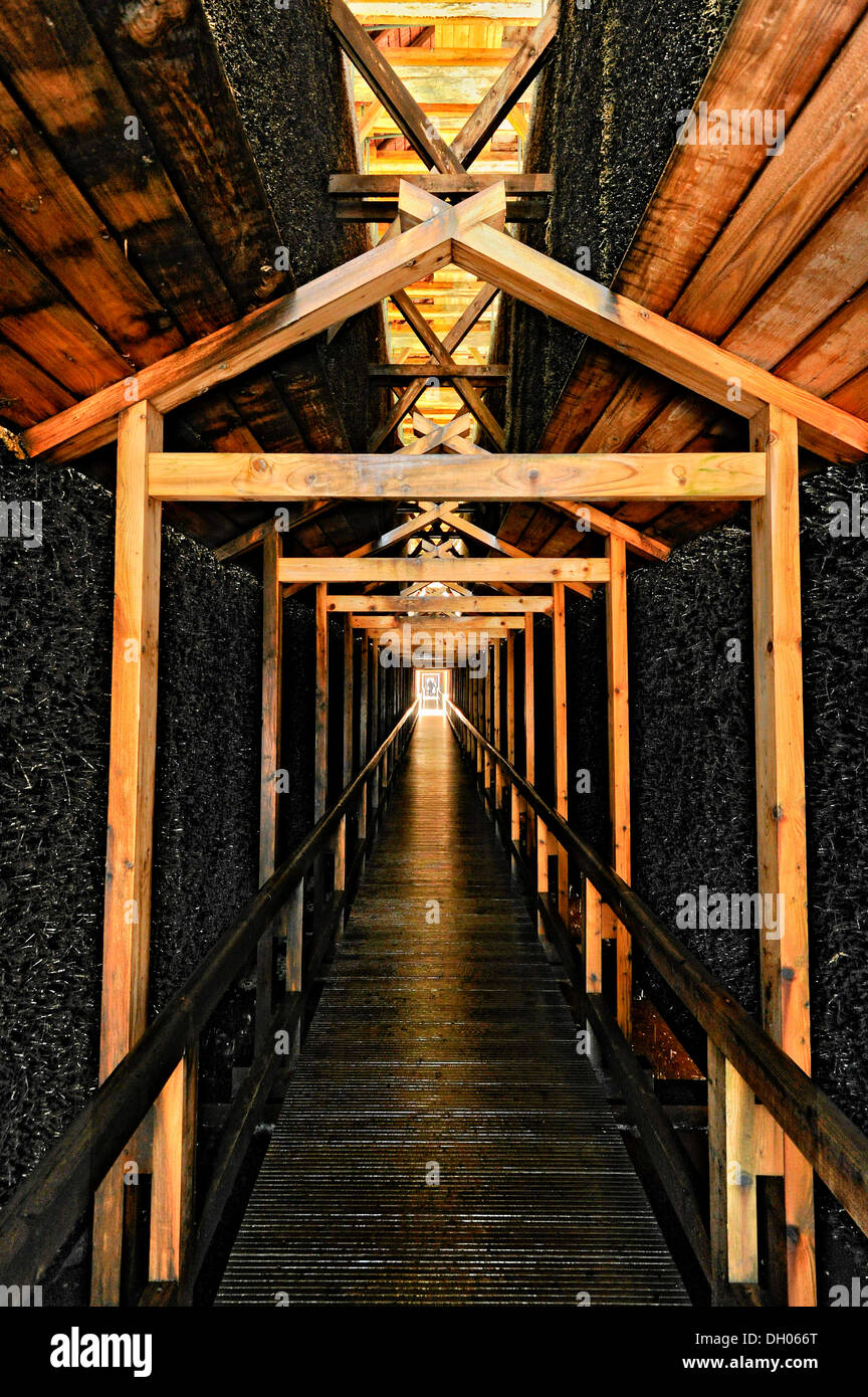 Graduation tower hi-res stock photography and images - Alamy