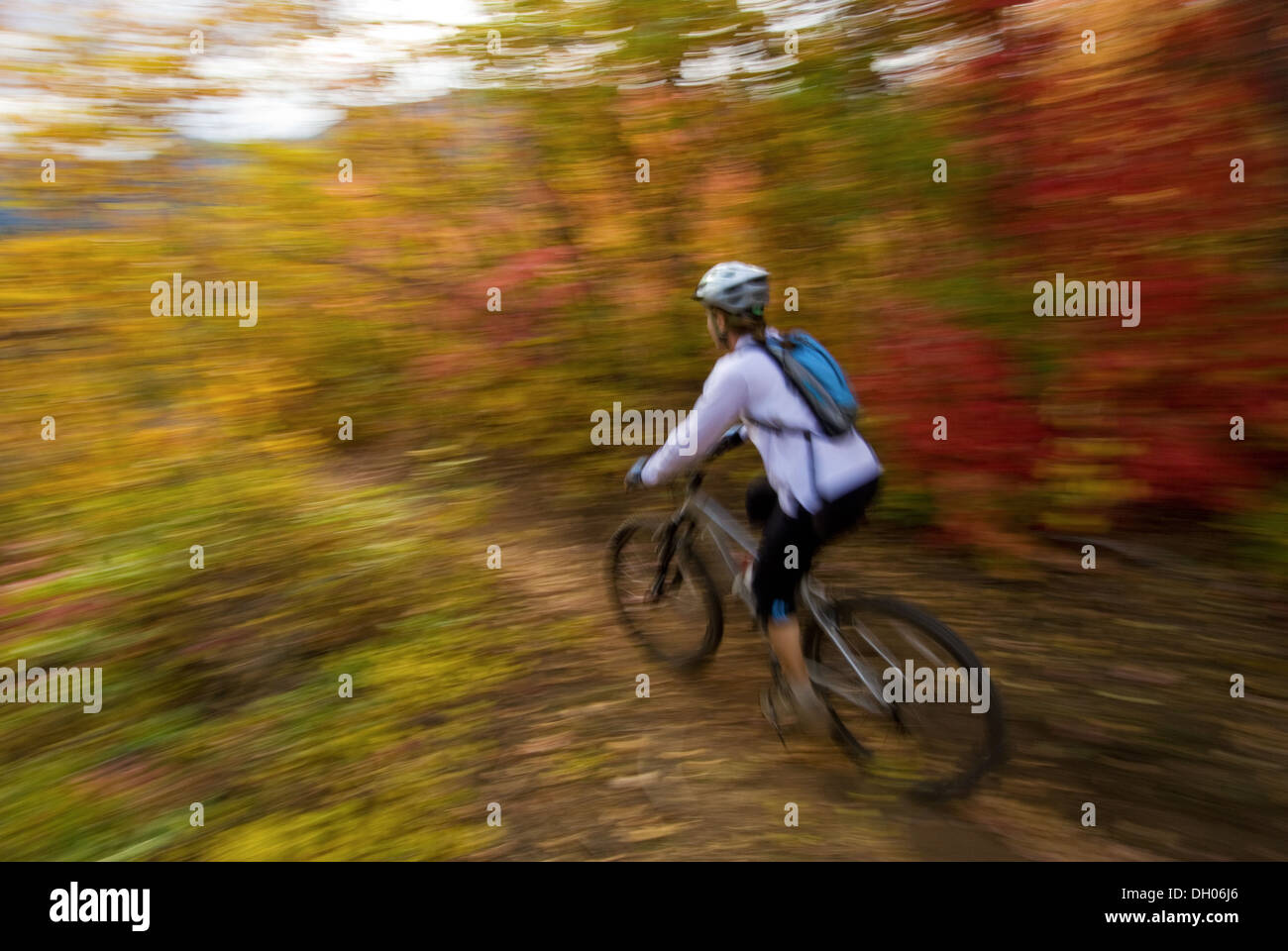 Uinta wasatch cache national forest hi-res stock photography and images ...