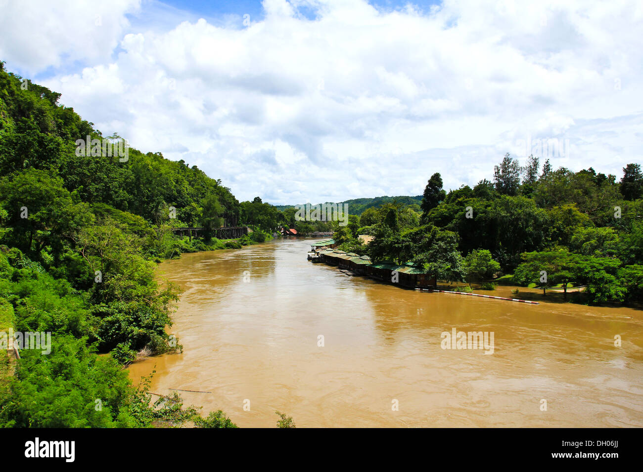 Kwai tree hi-res stock photography and images - Alamy