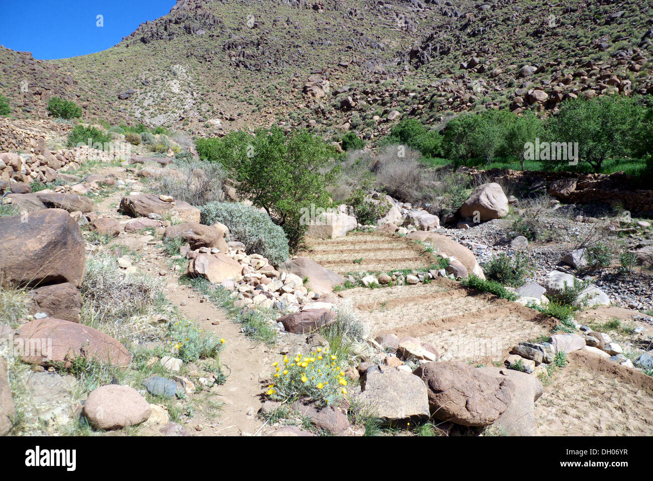Morocco field terraces farming hi-res stock photography and images - Alamy