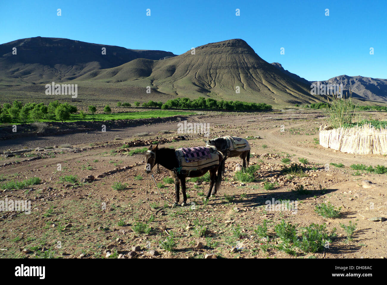Jebel sahro draa valley hi-res stock photography and images - Alamy