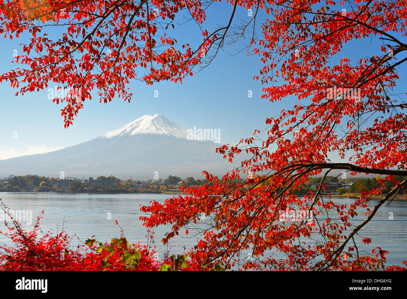 Mt Fuji in the Fall season Stock Photo - Alamy