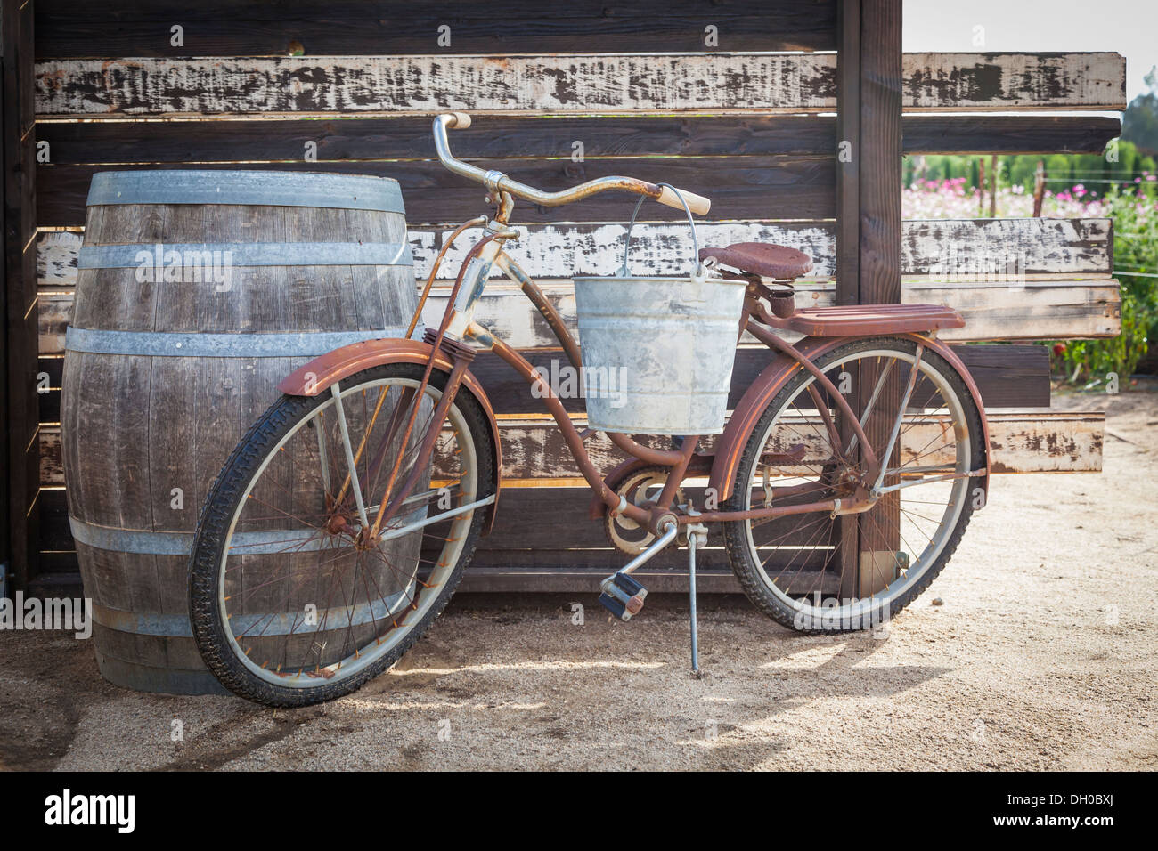 Old Rusty Antique Bicycle and Wine Barrel in a Rustic Outdoor Setting ...