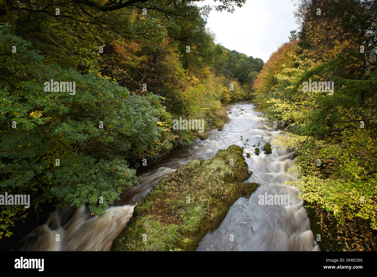 Ettrickbridge hi-res stock photography and images - Alamy
