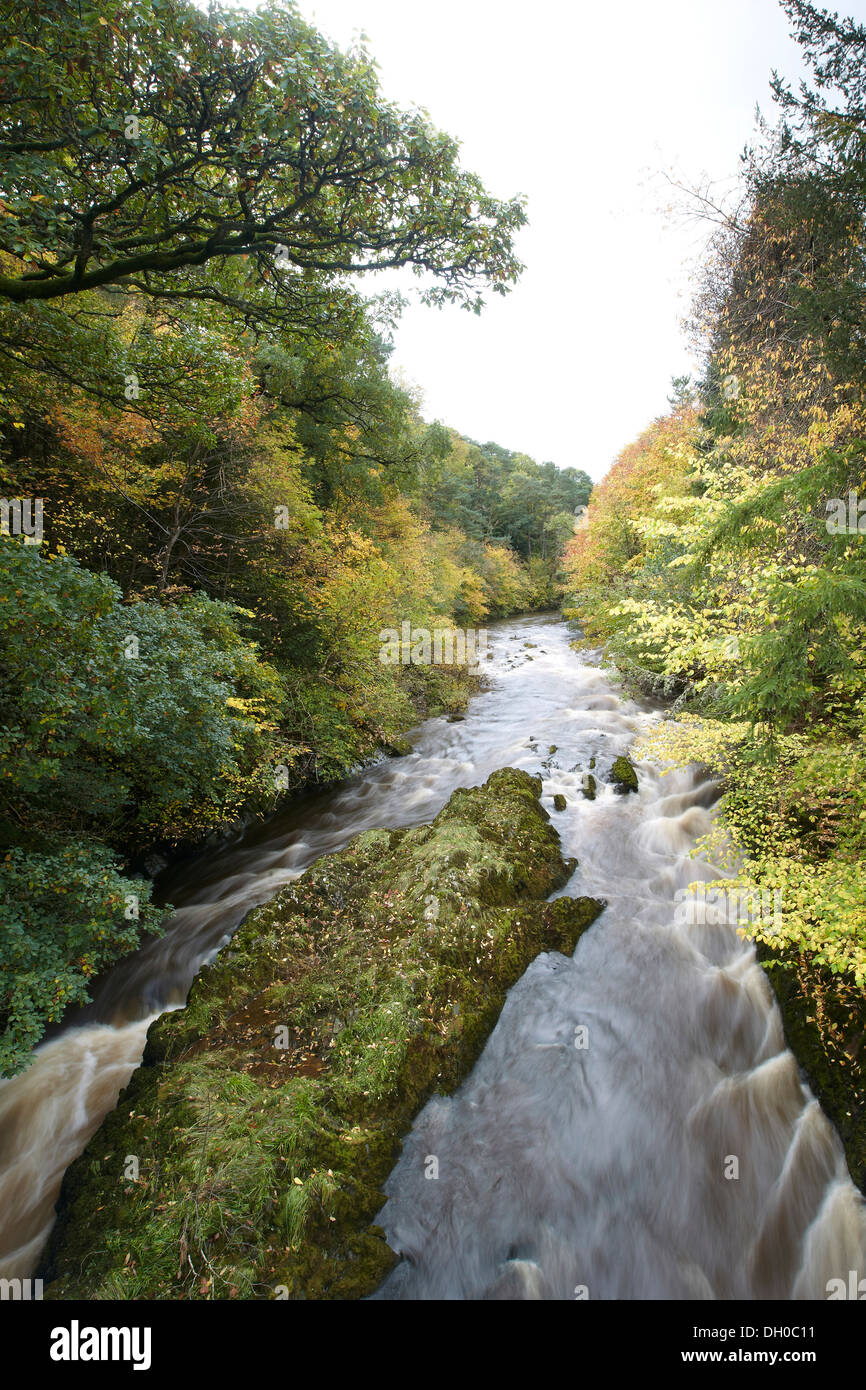 Autumn colours line the river banks of Ettrick water, Ettrickbridge ...