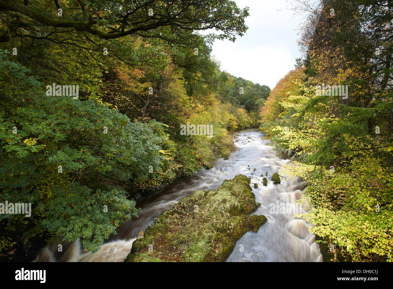 Autumn colours line the river banks of Ettrick water, Ettrickbridge ...