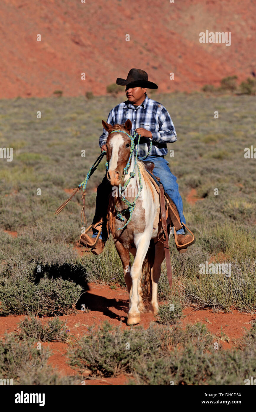 Cowboy Riding A Mustang