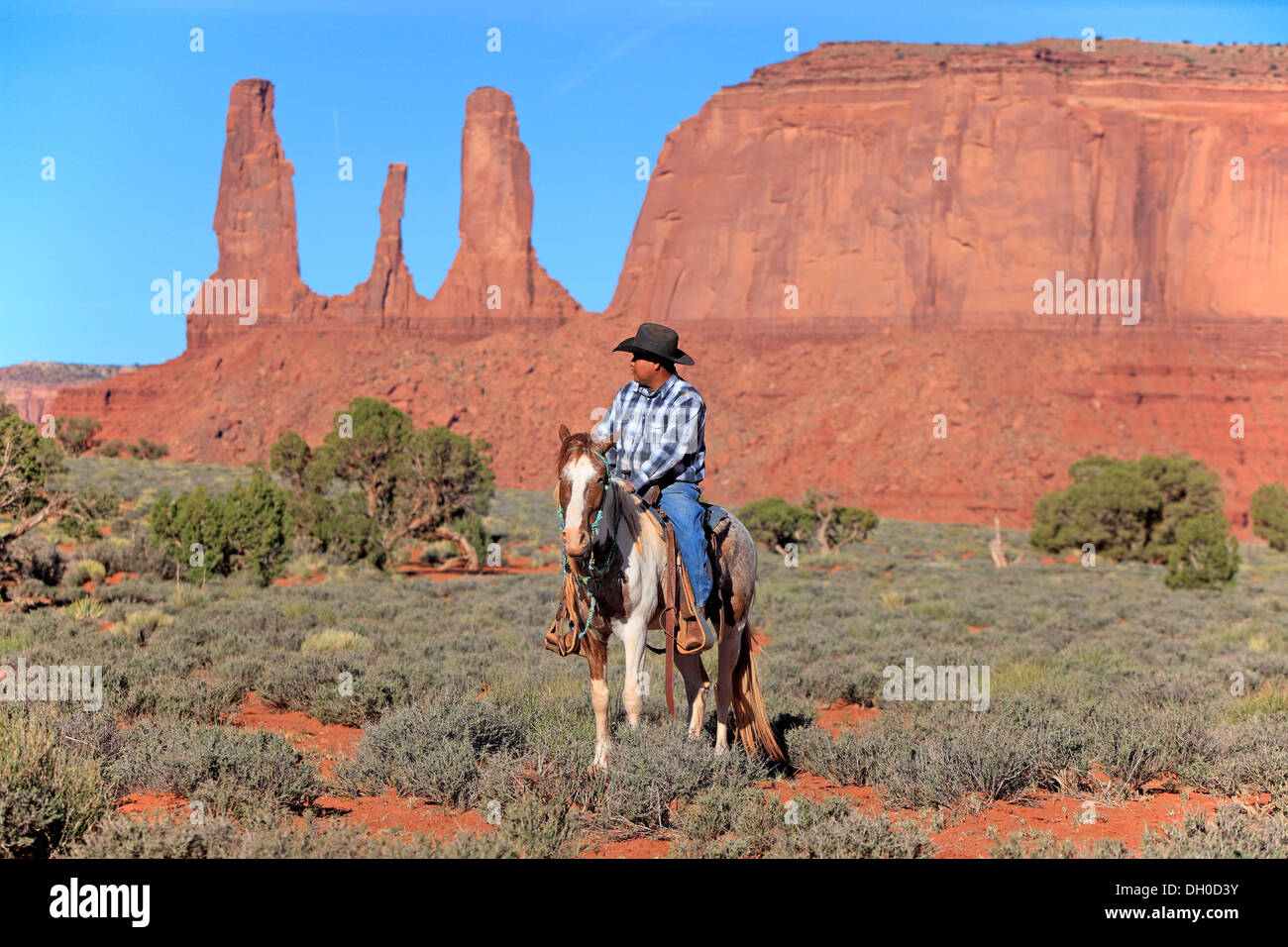 Cowboy Riding A Mustang