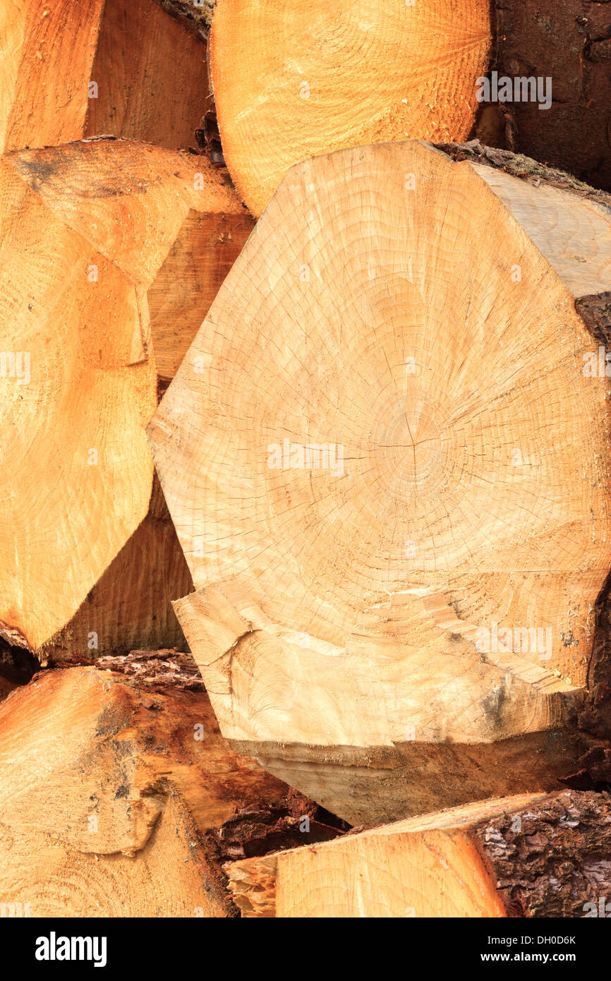 Timber stack hi-res stock photography and images - Alamy
