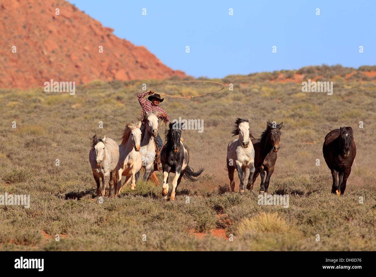 Riding on a float hi-res stock photography and images - Alamy