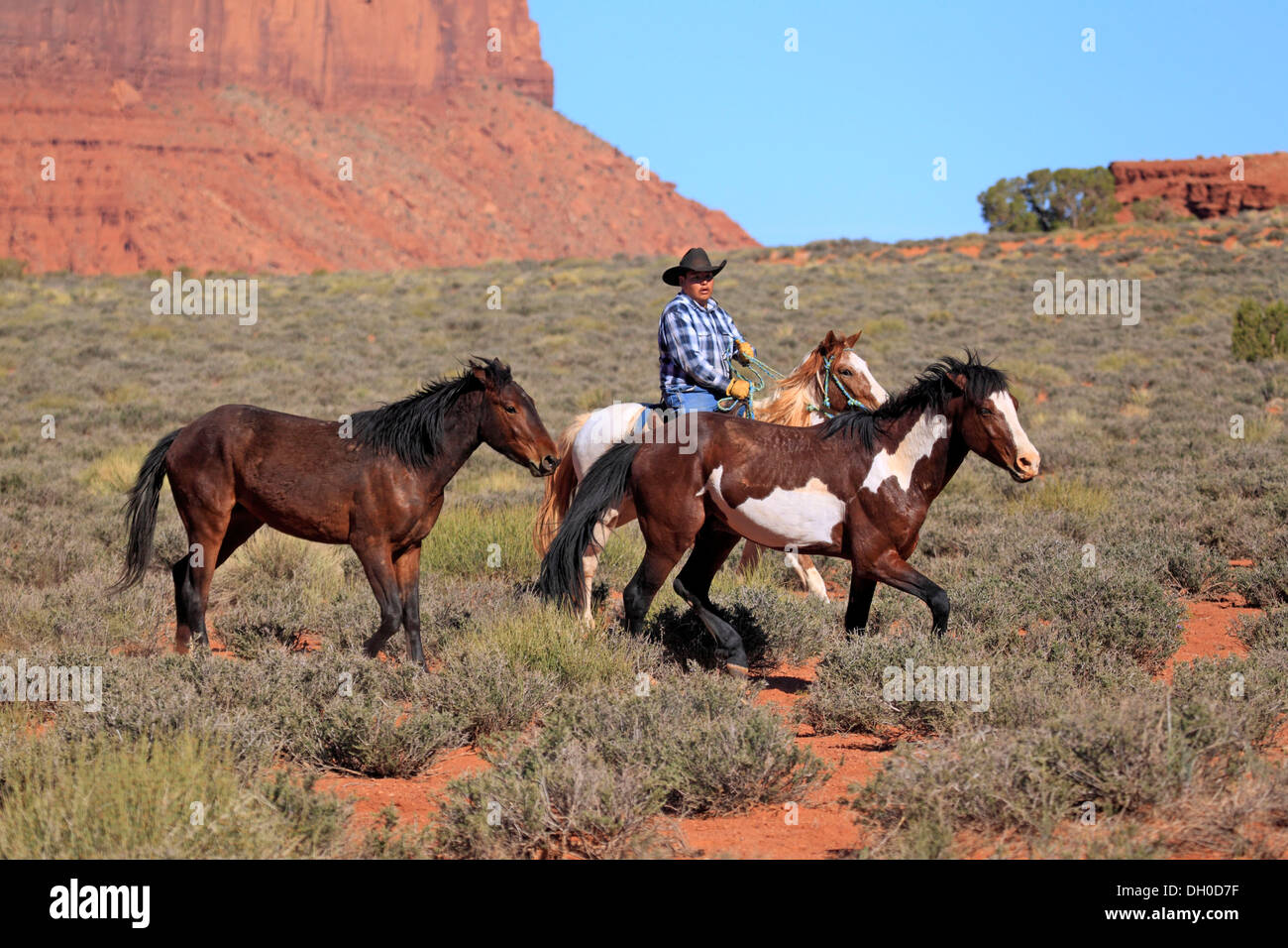 Cowboy Riding A Mustang