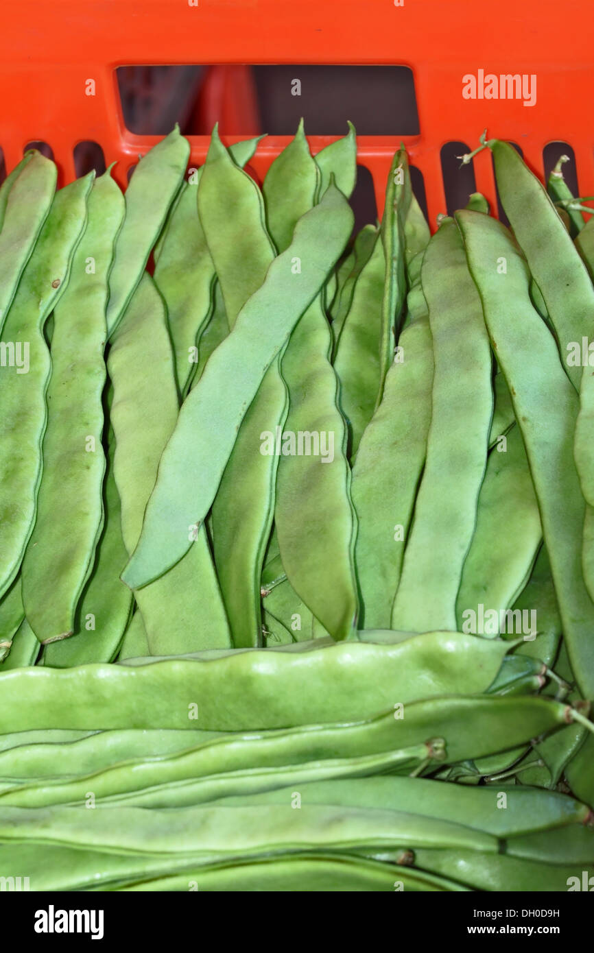 Long legumes hi-res stock photography and images - Alamy