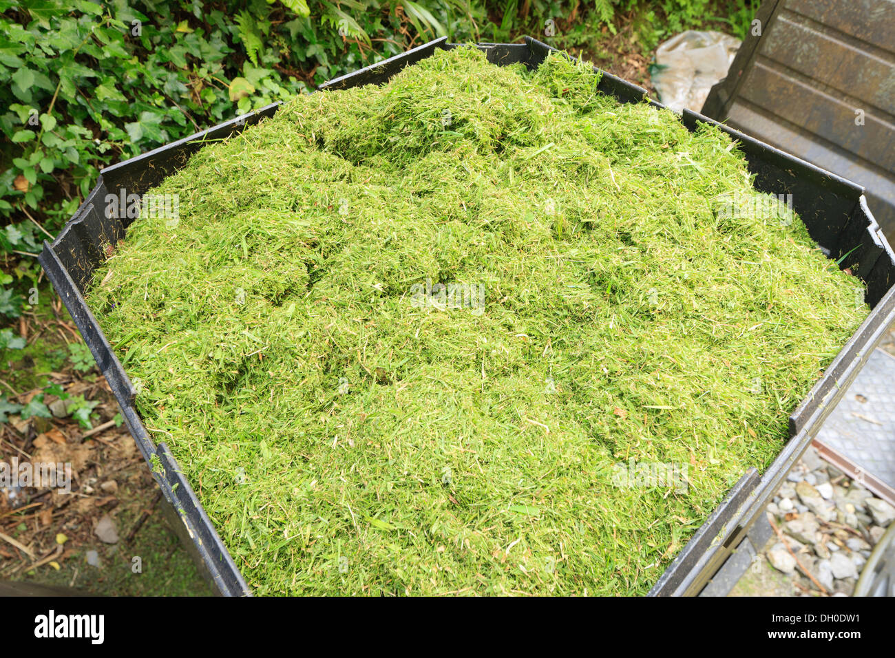 Composting grass cuttings Stock Photo - Alamy