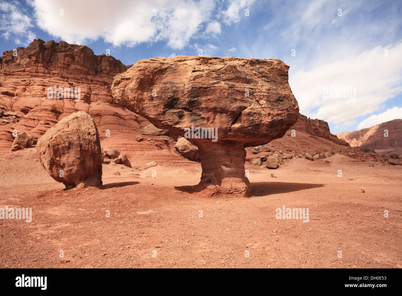Arizona mushroom hi-res stock photography and images - Alamy