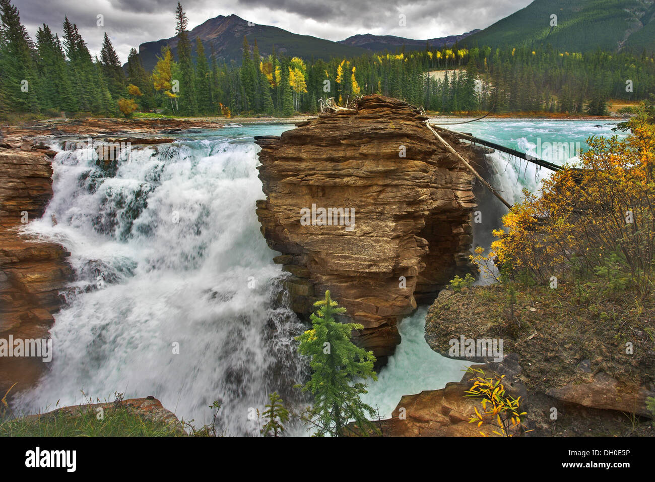 Rustling hi-res stock photography and images - Alamy