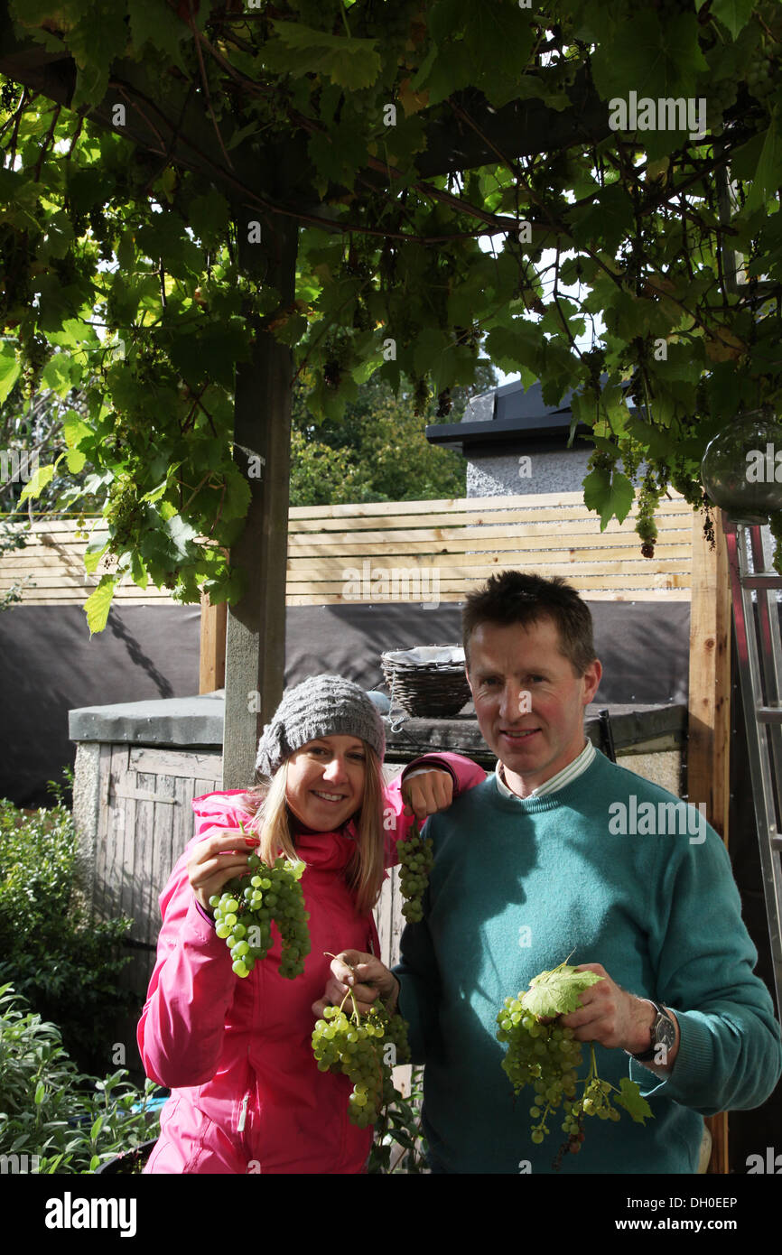 Grape pickers in a London garden Stock Photo - Alamy