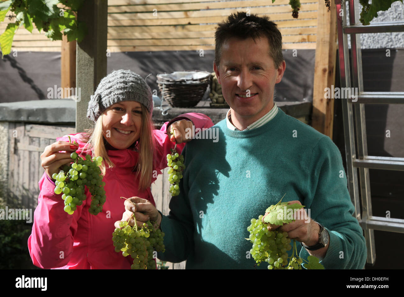Grape pickers in a London garden Stock Photo - Alamy