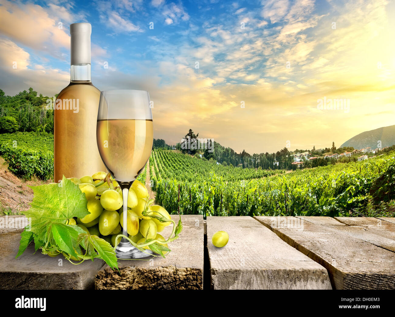 Table grape vineyard hi-res stock photography and images - Alamy
