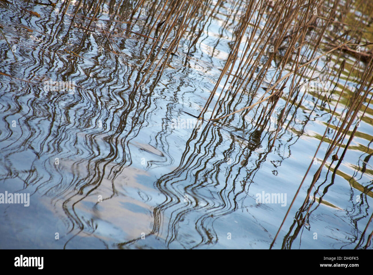 Reflections and patterns hi-res stock photography and images - Alamy