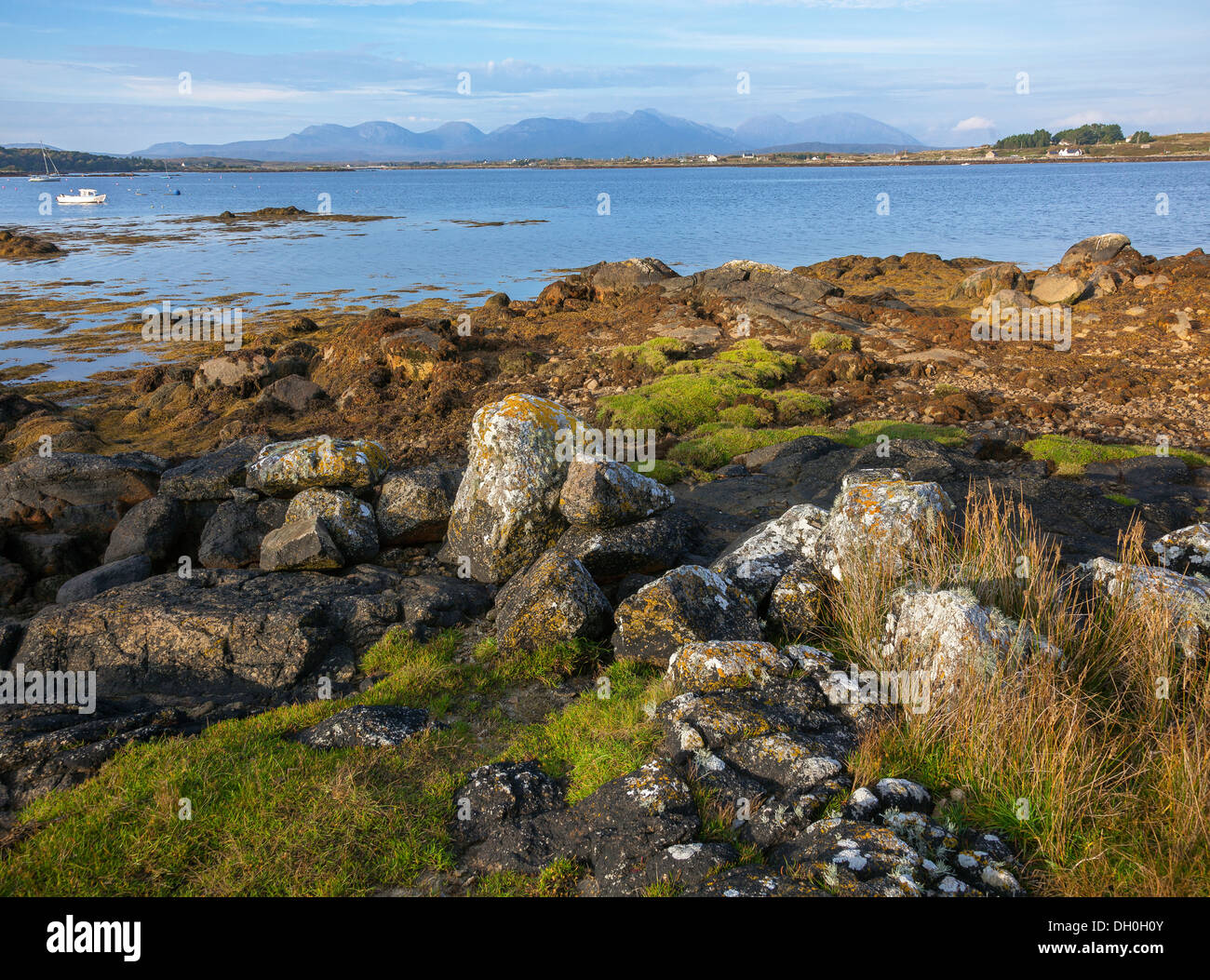 County Galway, Ireland: Tidal marsh at low tide in Bertraghboy Bay near ...