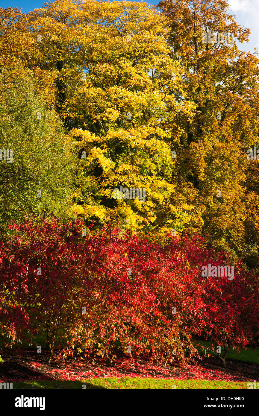 UK Kent Maidstone Leeds Castle originally built circa 1119 Norman ...