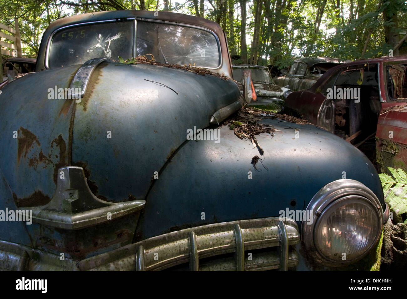Car Graveyards High Resolution Stock Photography and Images - Alamy