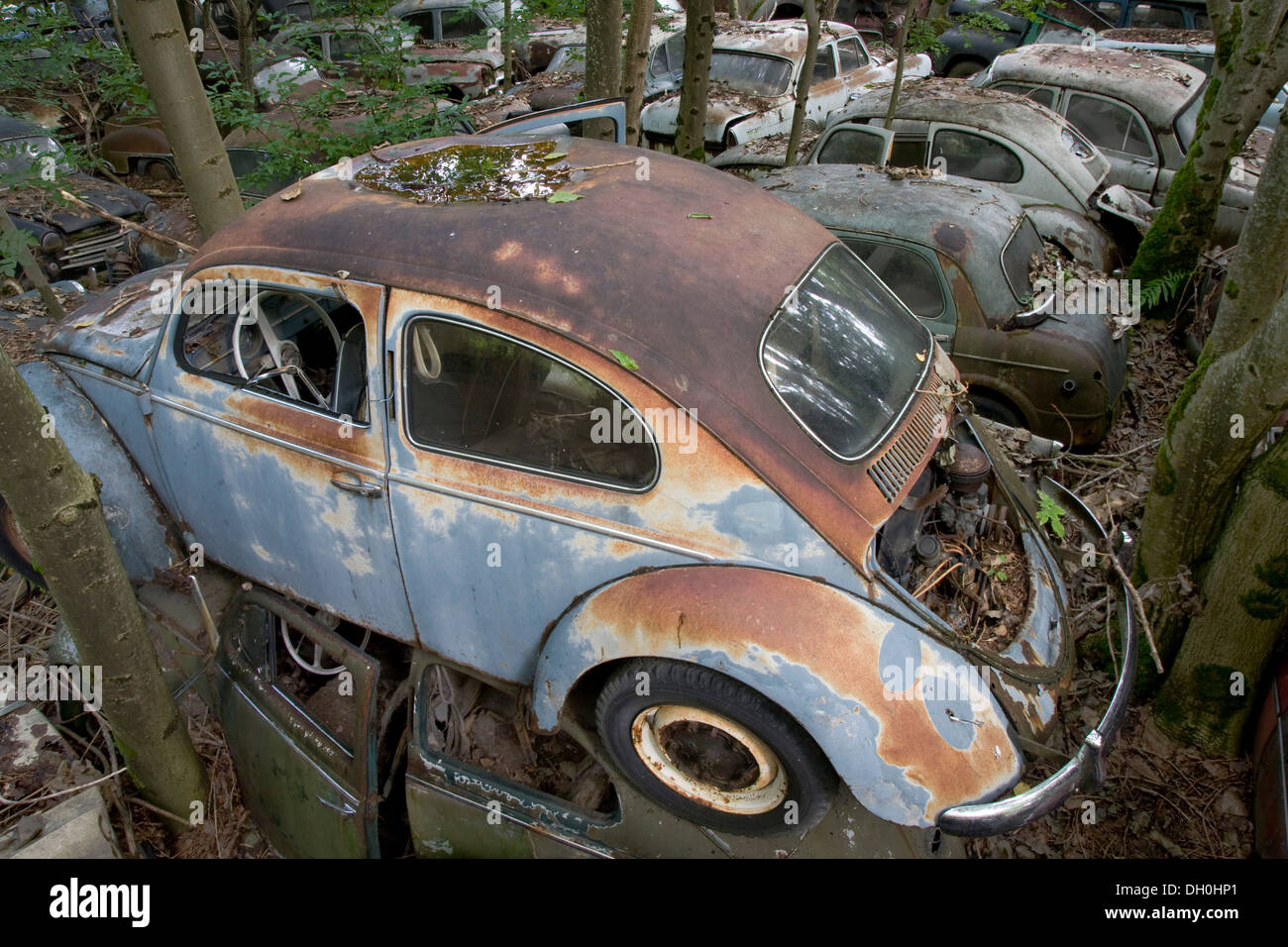 Car Graveyards High Resolution Stock Photography and Images - Alamy